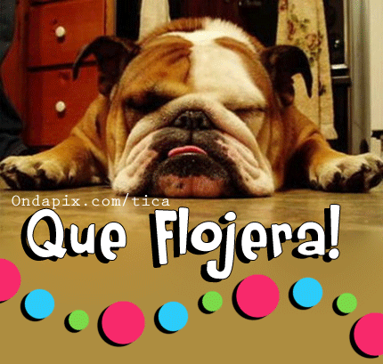 Imagenes animadas de flojera - Imagui